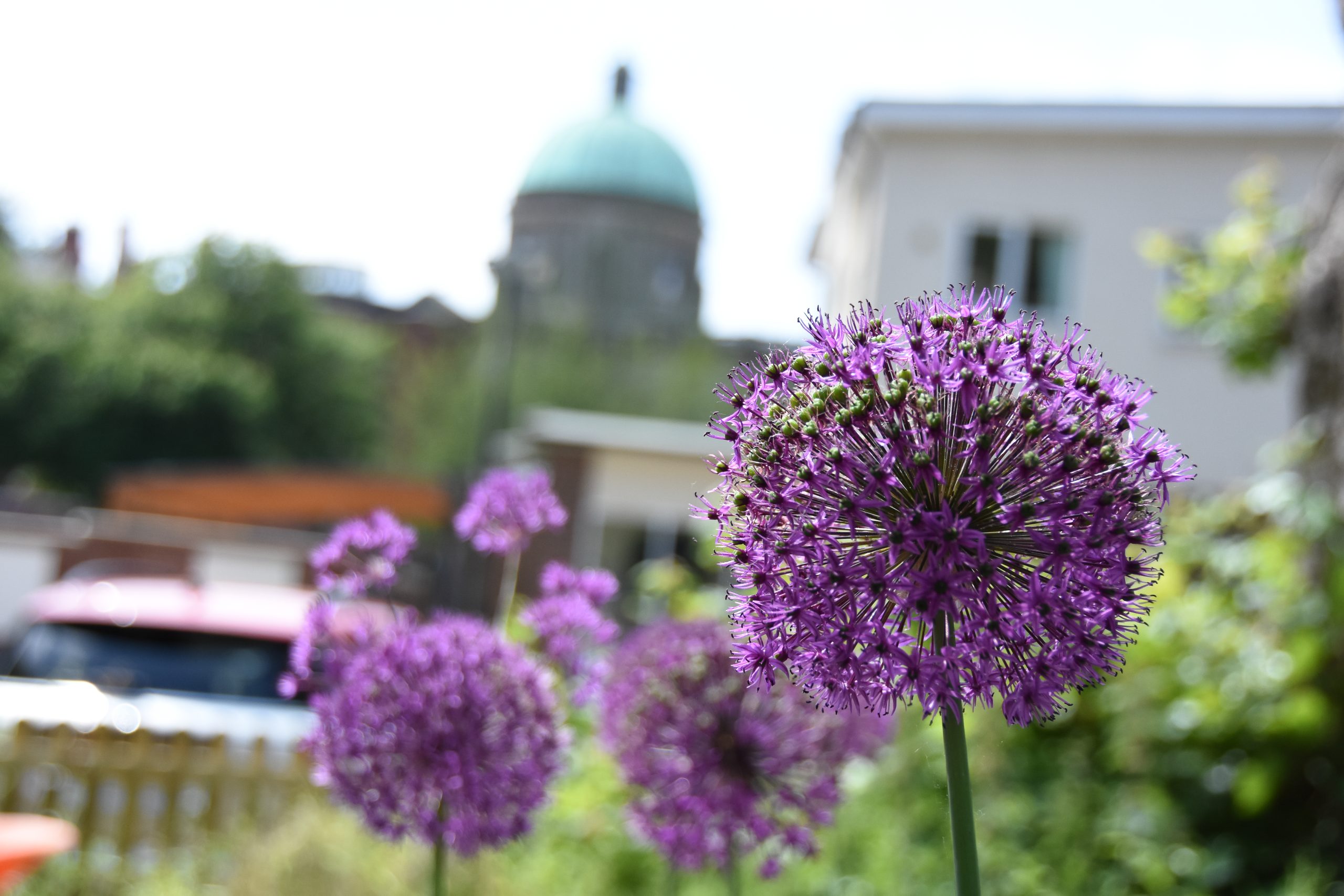 Curriculum Overviews – St George's CofE Primary School – Birmingham ...